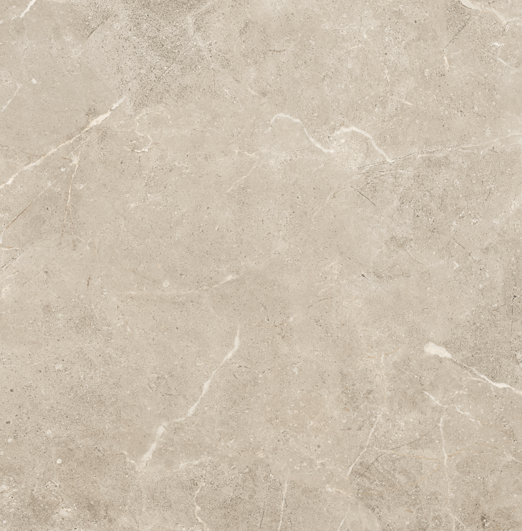 Special Offers - Elite Importers