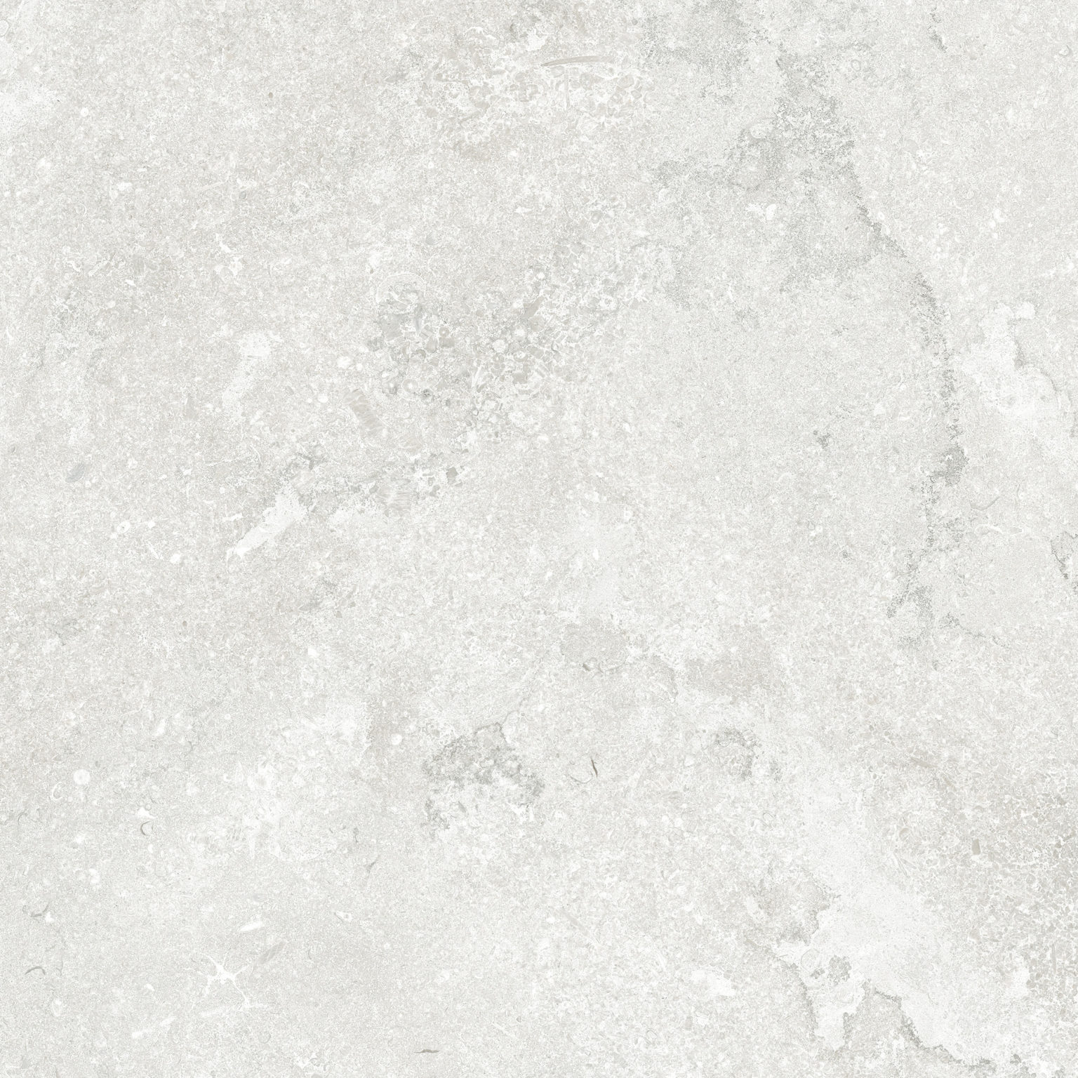 Portland Stone - Elite Importers