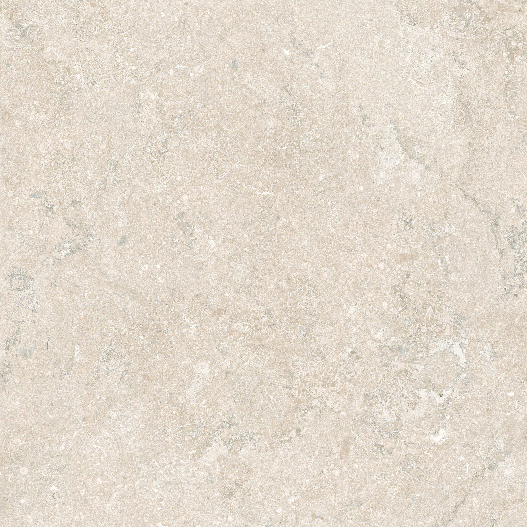 Portland Stone - Elite Importers